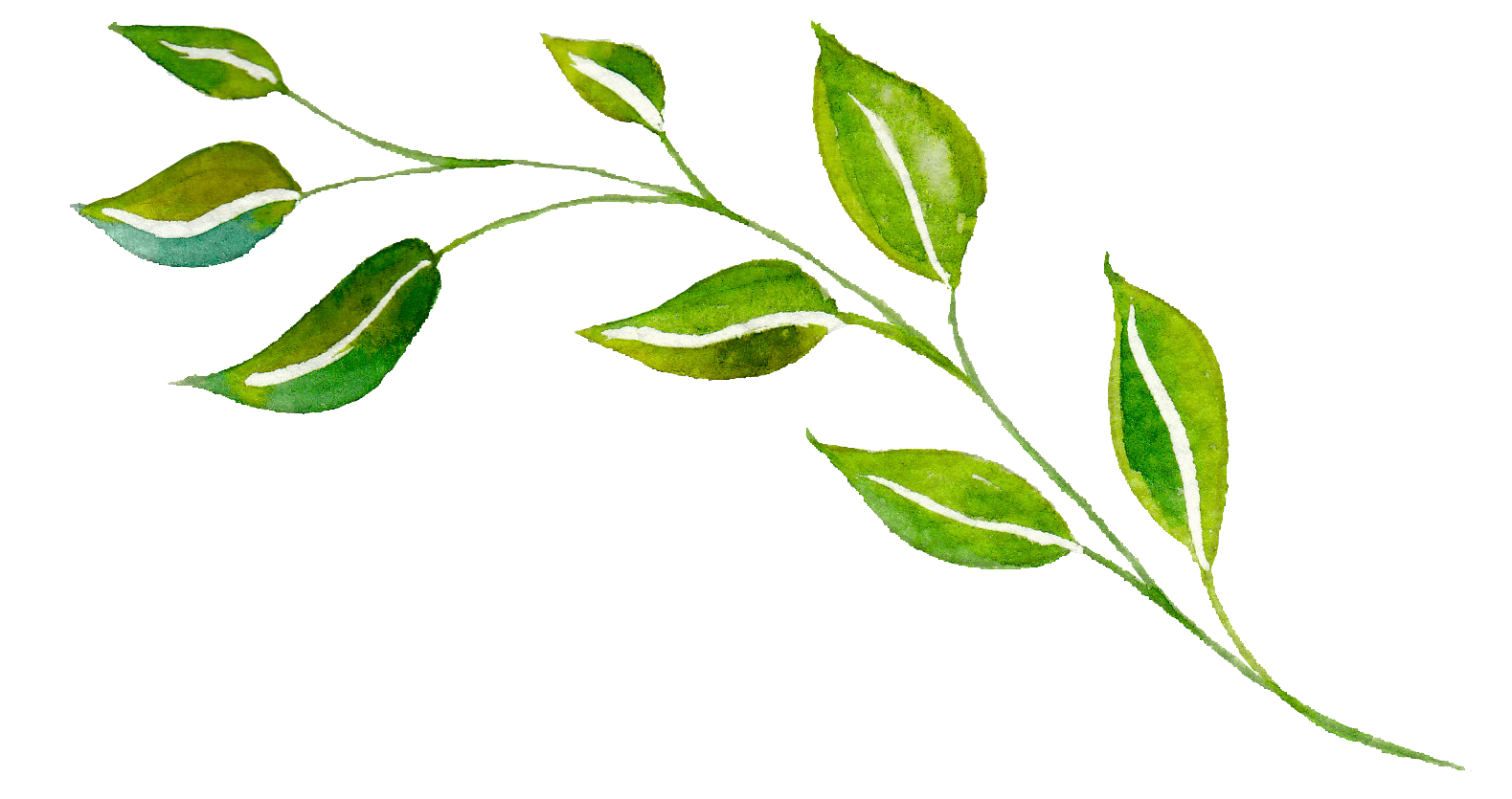 Mindfulness Meditation Classes | Adwait Yoga School: International ...